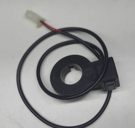 Left Hand switch set with park Switch - Electric Scooter Parts